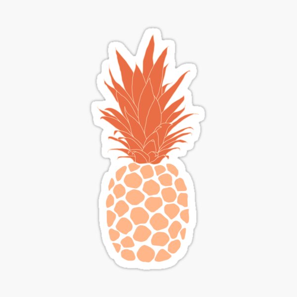 "Pineapple Illustration " Sticker by Hanreni | Redbubble