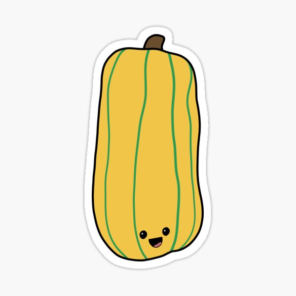 "Cute Delicata Squash" Sticker by ArtKauHD | Redbubble