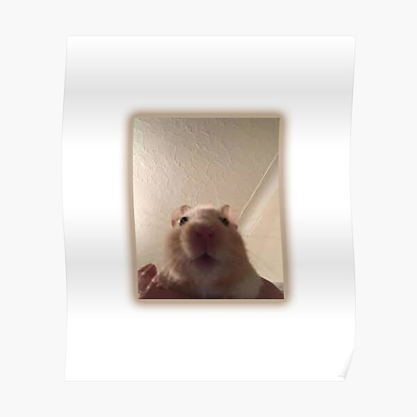 "Facetime Hamster" Poster for Sale by artme10 | Redbubble