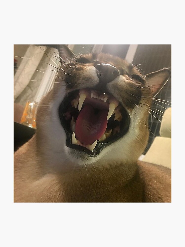 "Floppa" Sticker by seller23 | Redbubble