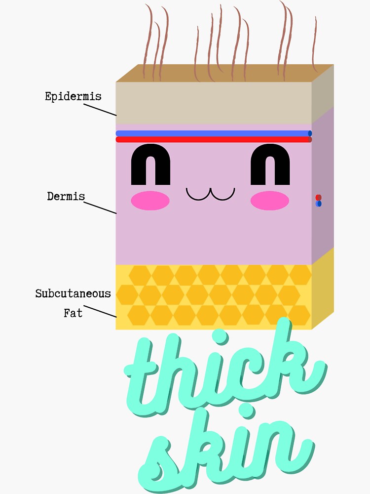 "Skin anatomy dermatology design" Sticker for Sale by Medicalitee ...