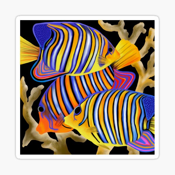 "Regal Angelfish" Sticker for Sale by FoldedRainbow | Redbubble