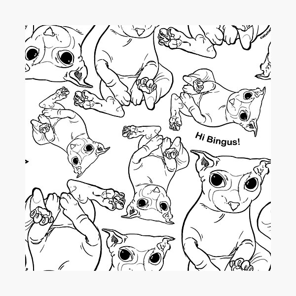 "Hi Bingus Cat Repeating lineart pattern" Photographic Print for Sale ...