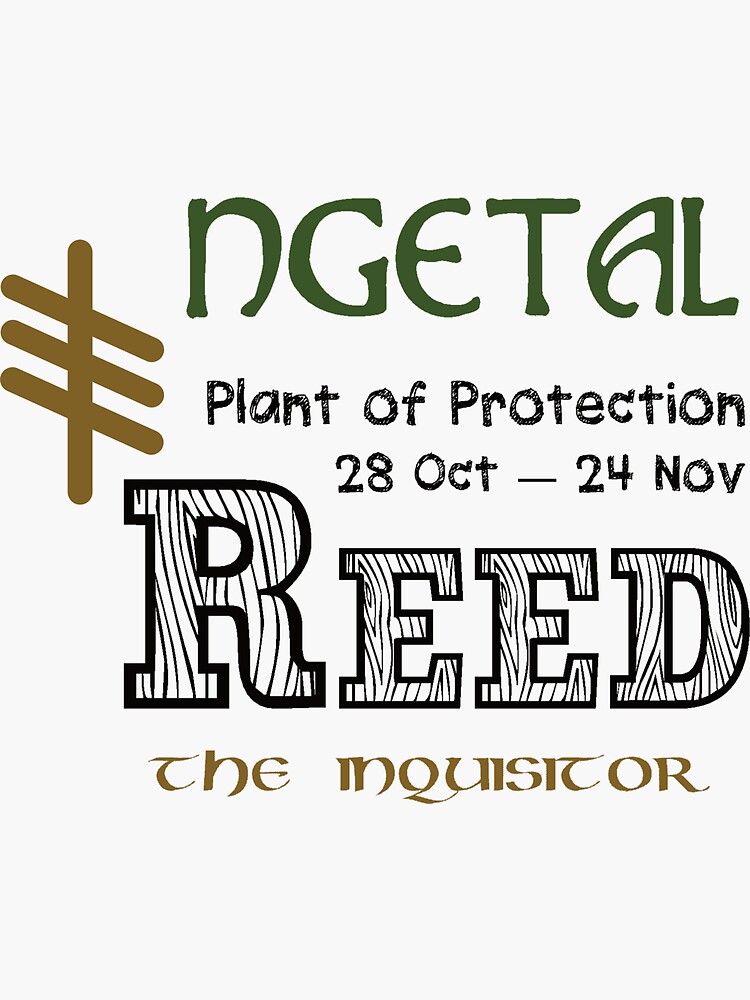 "Ogham Reed/Ngetal Plant of Protection" Sticker for Sale by ...