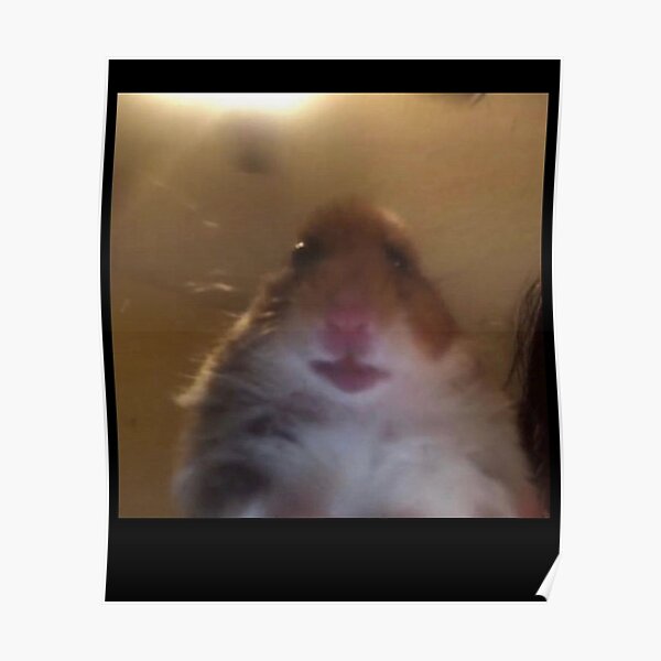 Front Camera Posters | Redbubble