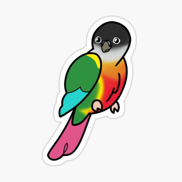 "Scampi the Rescue Conure!" Sticker by ChipFishPickles | Redbubble