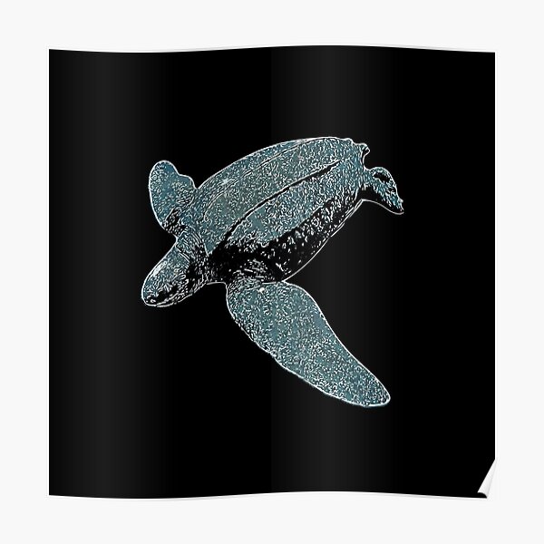 "Leatherback Sea Turtle White Alternate Print" Poster by ...