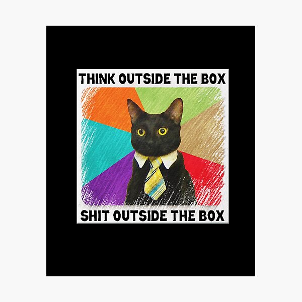 "Think Outside The Box Shit Outside The Box - Business Cat Meme ...