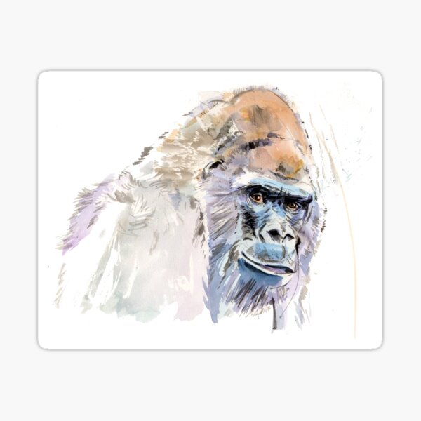 "Silverback gorilla" Sticker for Sale by illustration1 | Redbubble