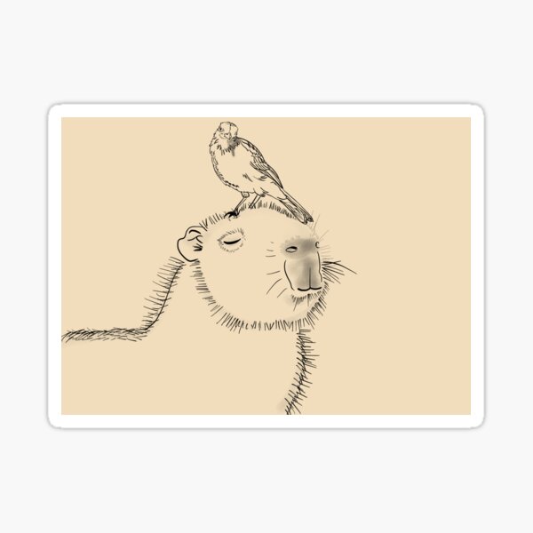 "Everybody Loves A Capybara" Sticker for Sale by FrenchTip | Redbubble