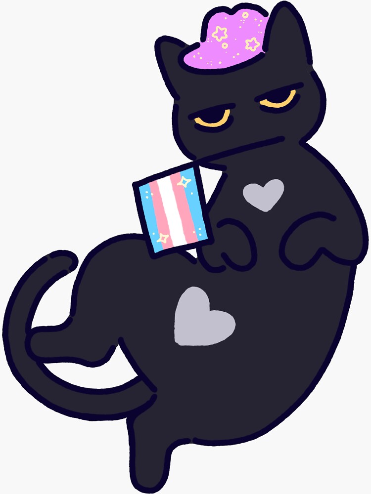 "shadow says trans rights" Sticker for Sale by paleolion | Redbubble