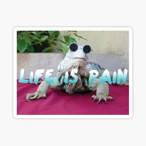 "LIFE IS PAIN" Sticker for Sale by teenrunaway | Redbubble