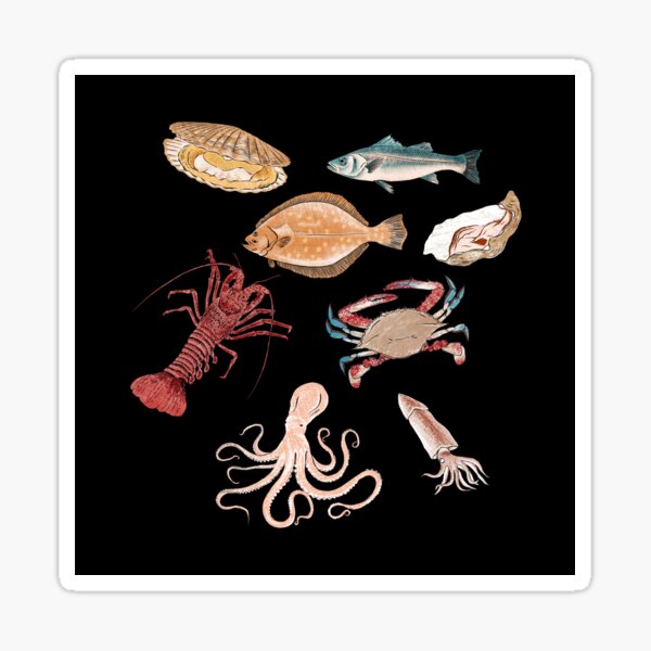 "Illustration of a set of seafood" Sticker for Sale by iswenyi | Redbubble
