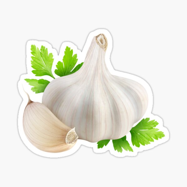 "Garlic and parsley" Sticker for Sale by 6hands | Redbubble