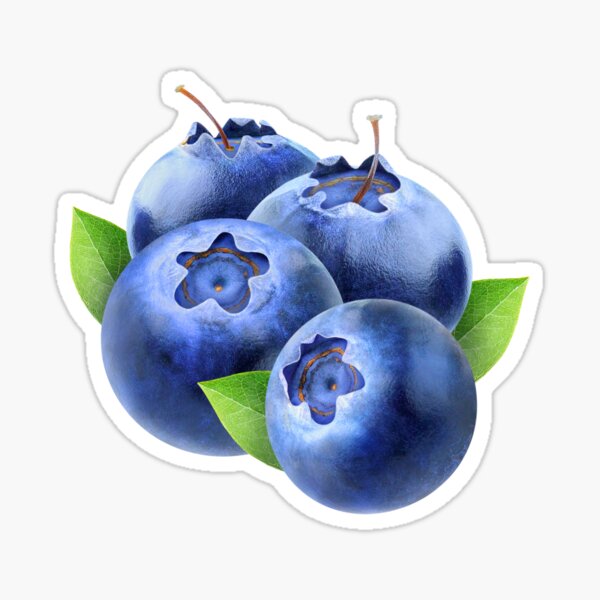"Blueberries" Sticker by 6hands | Redbubble