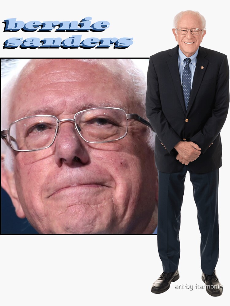"Bernie Sanders Meme" Sticker for Sale by art-by-harmonie | Redbubble