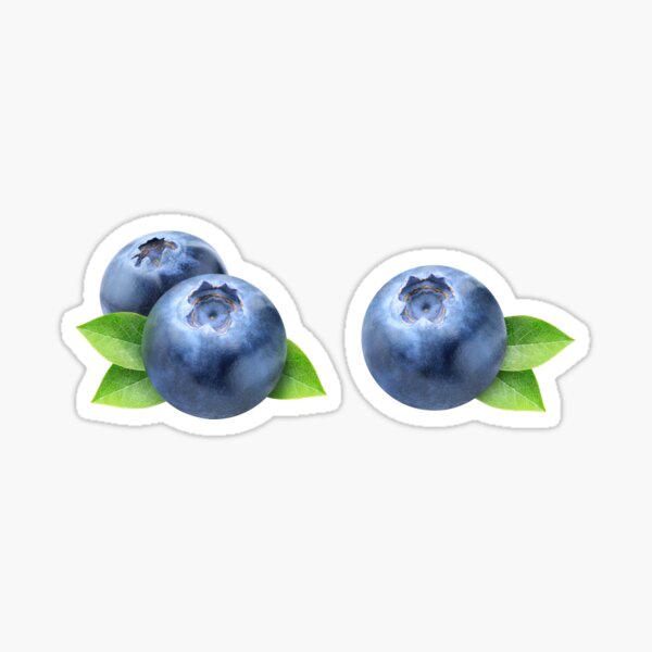 "Blueberries collection" Sticker by 6hands | Redbubble