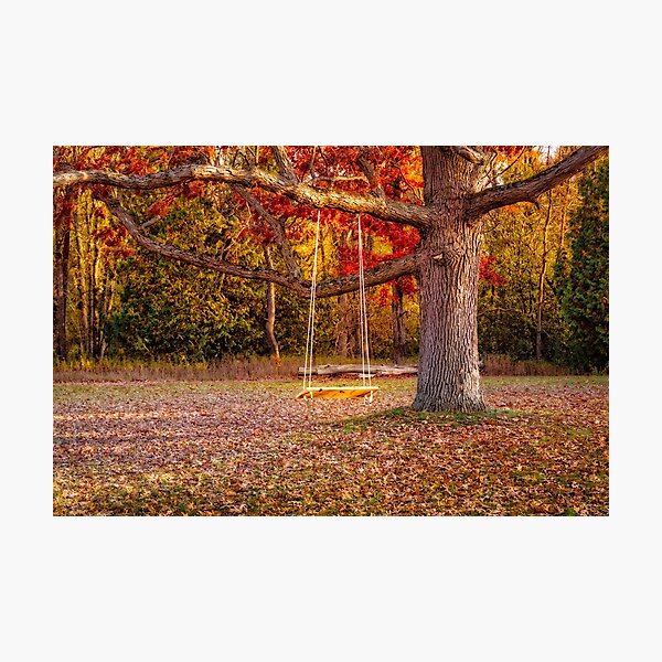 "Tree Swing In Autumn" Photographic Print for Sale by RobertAlsop ...