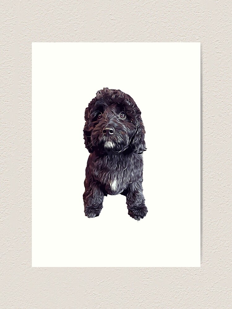 "Cavapoo Cavoodle Cockapoo Cuteness " Art Print by ElegantCat | Redbubble