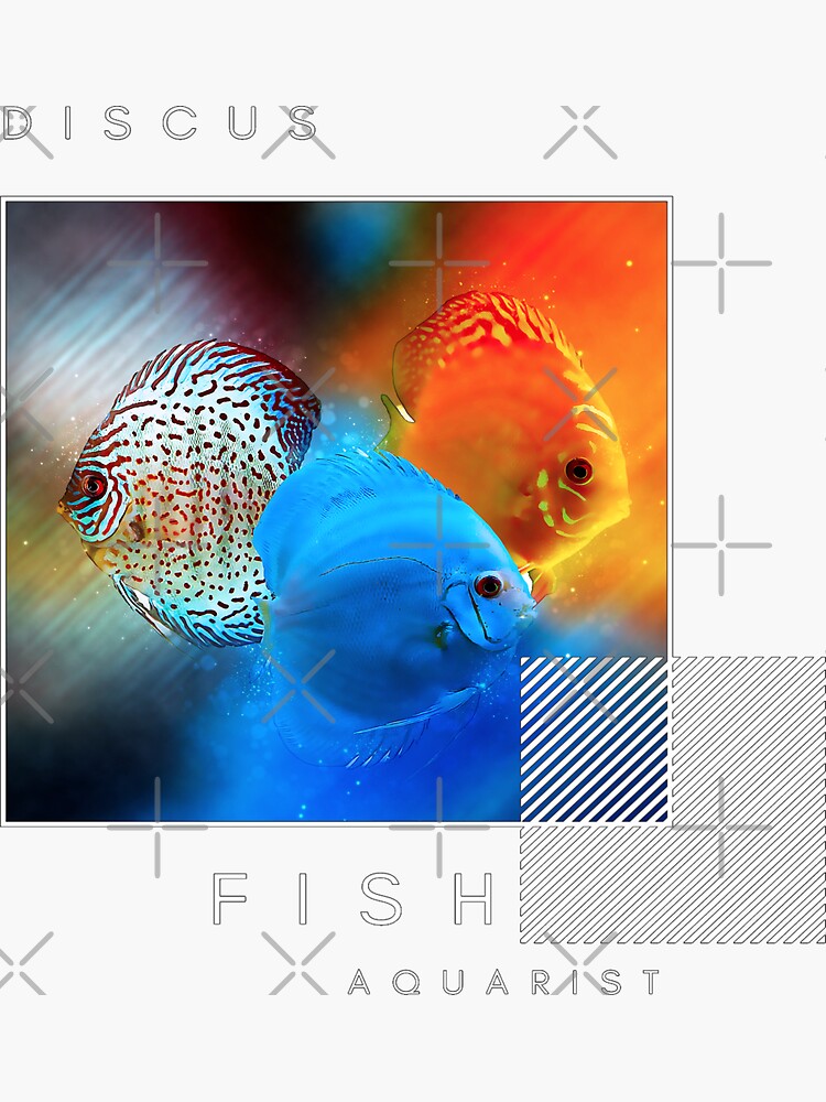 "Discus Fish Theme" Sticker for Sale by GFishy | Redbubble
