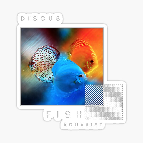 "Discus Fish Theme" Sticker for Sale by GFishy | Redbubble