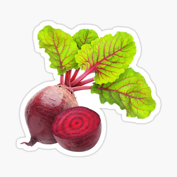 "Cut beetroot with leaves" Sticker for Sale by 6hands | Redbubble