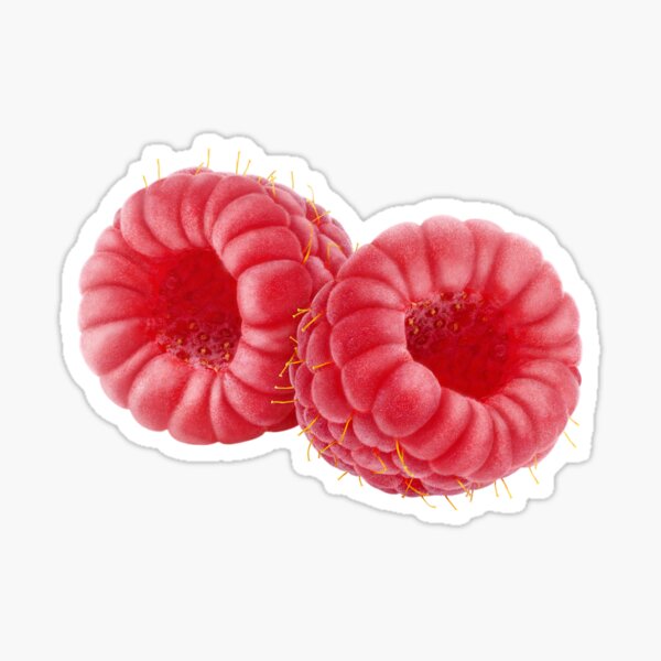 "Two raspberries" Sticker for Sale by 6hands | Redbubble
