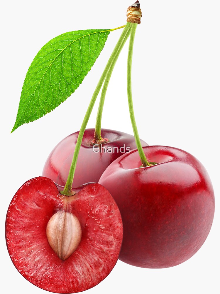"Three sweet cherries" Sticker for Sale by 6hands | Redbubble