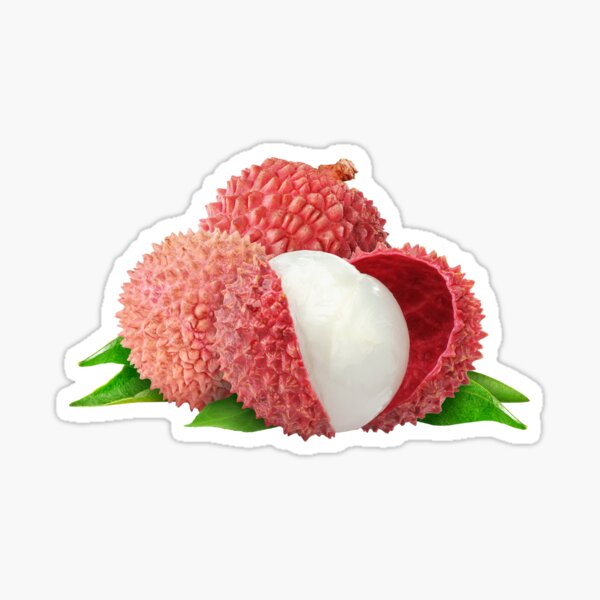Lychee Gifts & Merchandise | Redbubble