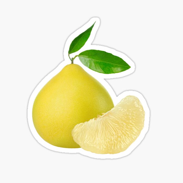 "Pummelo fruit" Sticker for Sale by 6hands | Redbubble