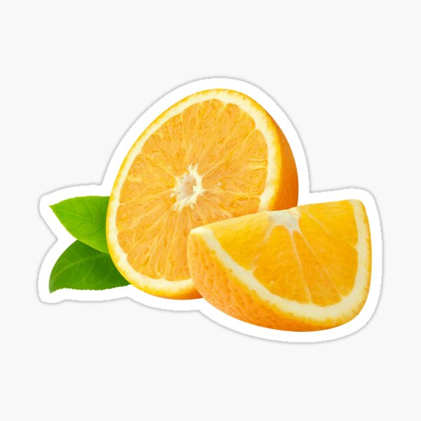 "Slices of orange fruit" Sticker for Sale by 6hands | Redbubble