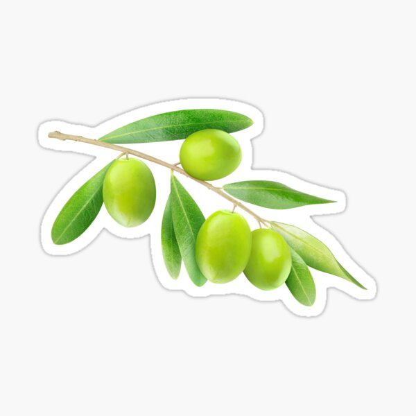 "Branch with green olives" Sticker for Sale by 6hands | Redbubble