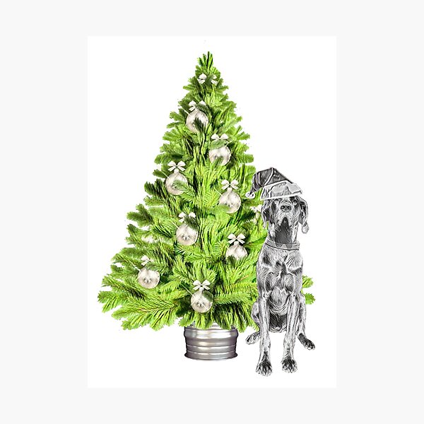 Lámina fotográfica «Escena de Navidad de gran danés con árbol de ...