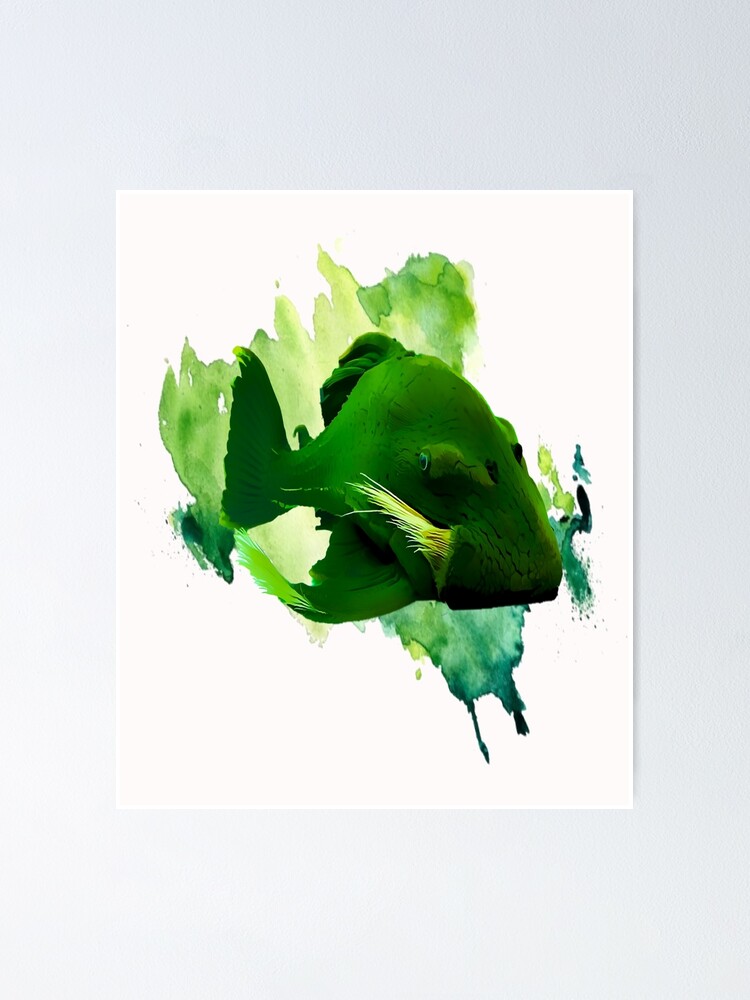 "Green Pleco" Poster by GFishy | Redbubble