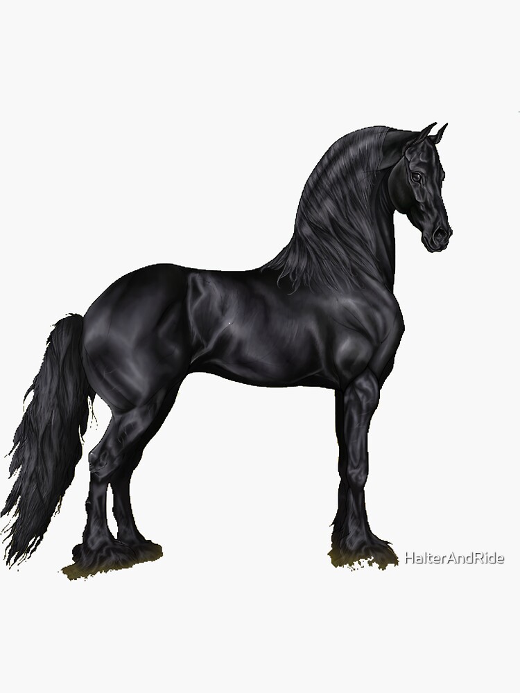 "Friesian" Sticker for Sale by HalterAndRide | Redbubble