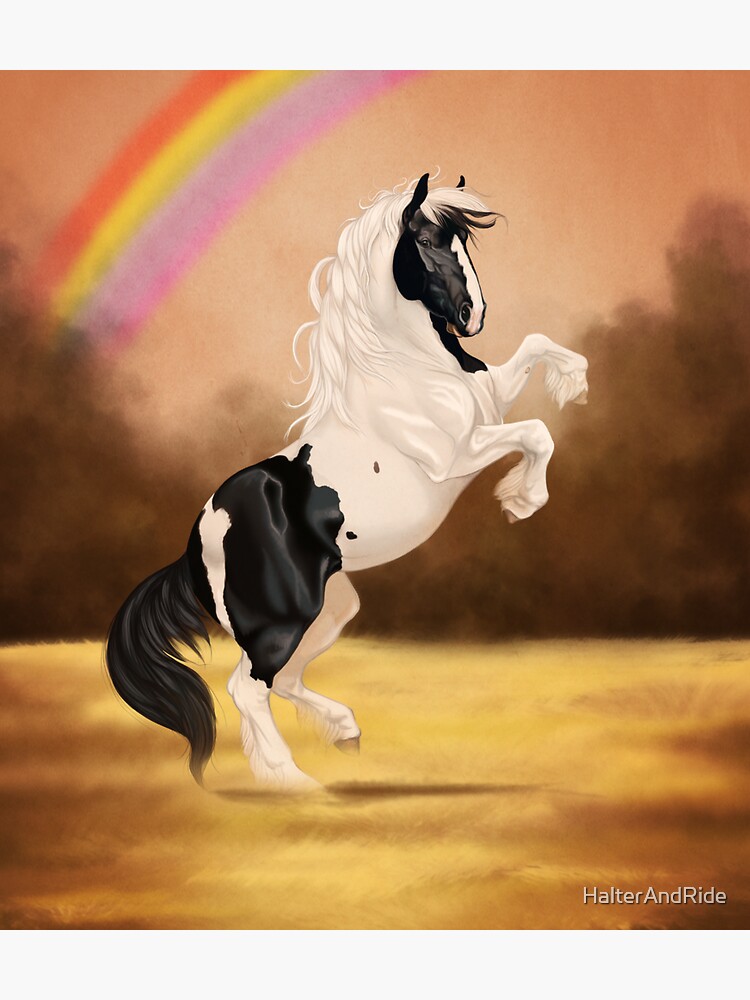 "Gypsy Vanner " Sticker by HalterAndRide | Redbubble