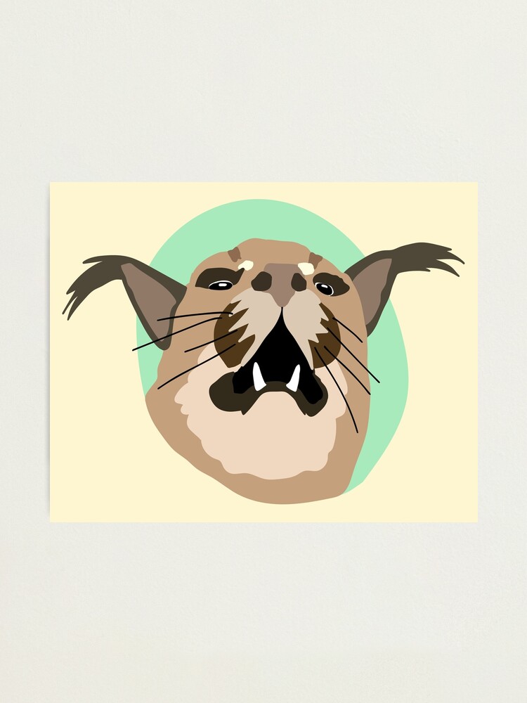 "Big Floppa Making a Scary Face" Photographic Print by Maxtown | Redbubble