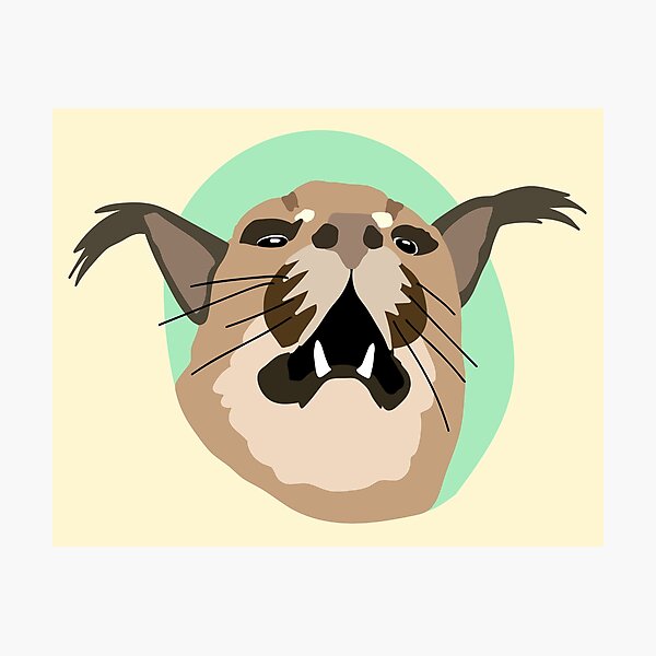 "Big Floppa Making a Scary Face" Photographic Print by Maxtown | Redbubble