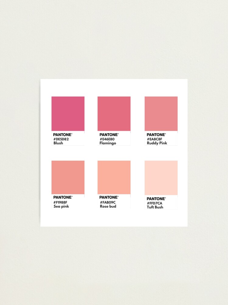 Impression photo « Échantillon de couleur pantone pêche et rose », par ...