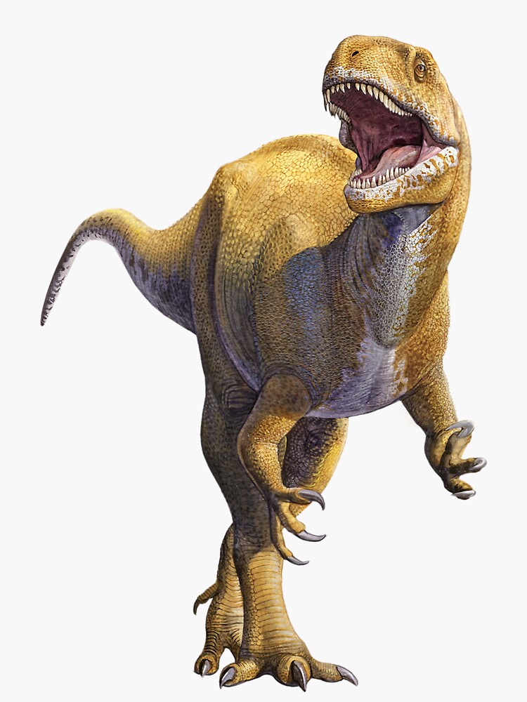 "Megalosaurus Dinosaur Realistic Print" Sticker for Sale by ...