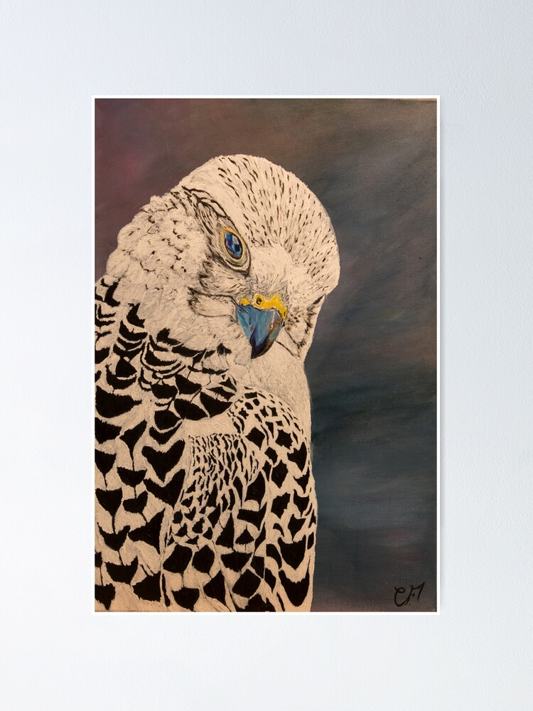 "Large format falcon" Poster for Sale by FelineLo | Redbubble