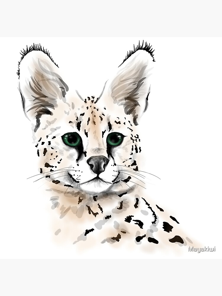 "Serval color" Poster for Sale by Mayakiwi | Redbubble