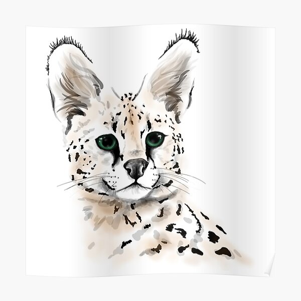 "Serval color" Poster for Sale by Mayakiwi | Redbubble