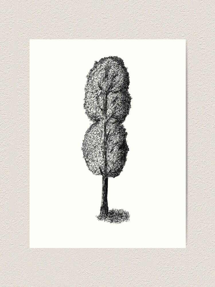 "Skinny Tree Drawing " Art Print by corinnepowell | Redbubble