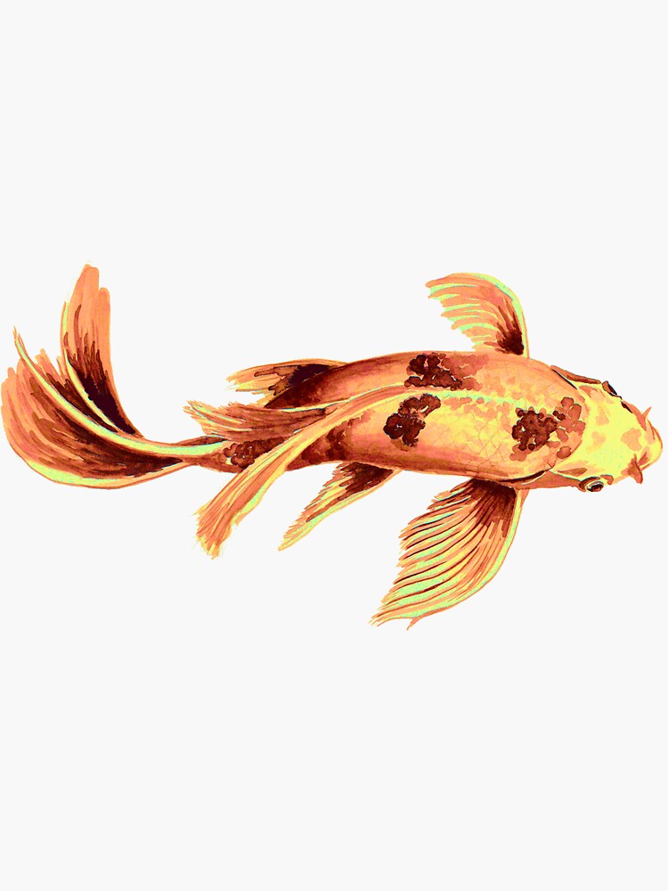 "Koi Fish - Fire" Sticker for Sale by BekaCanDraw | Redbubble