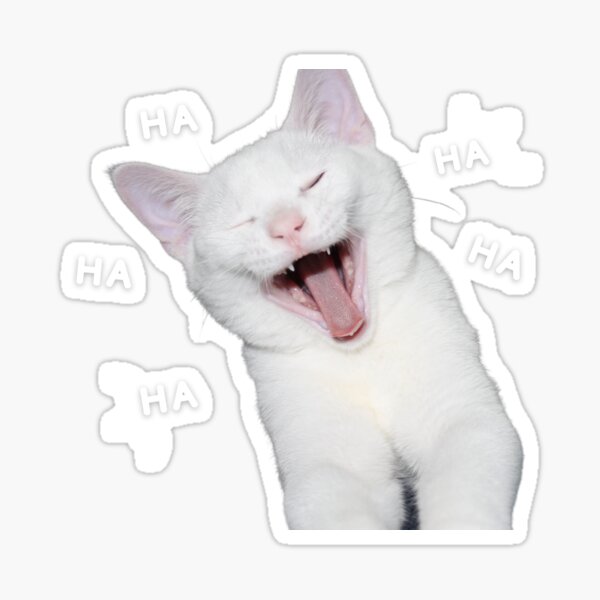 "Laughing Cat for Black T-Shirt " Sticker by CharWilcox | Redbubble