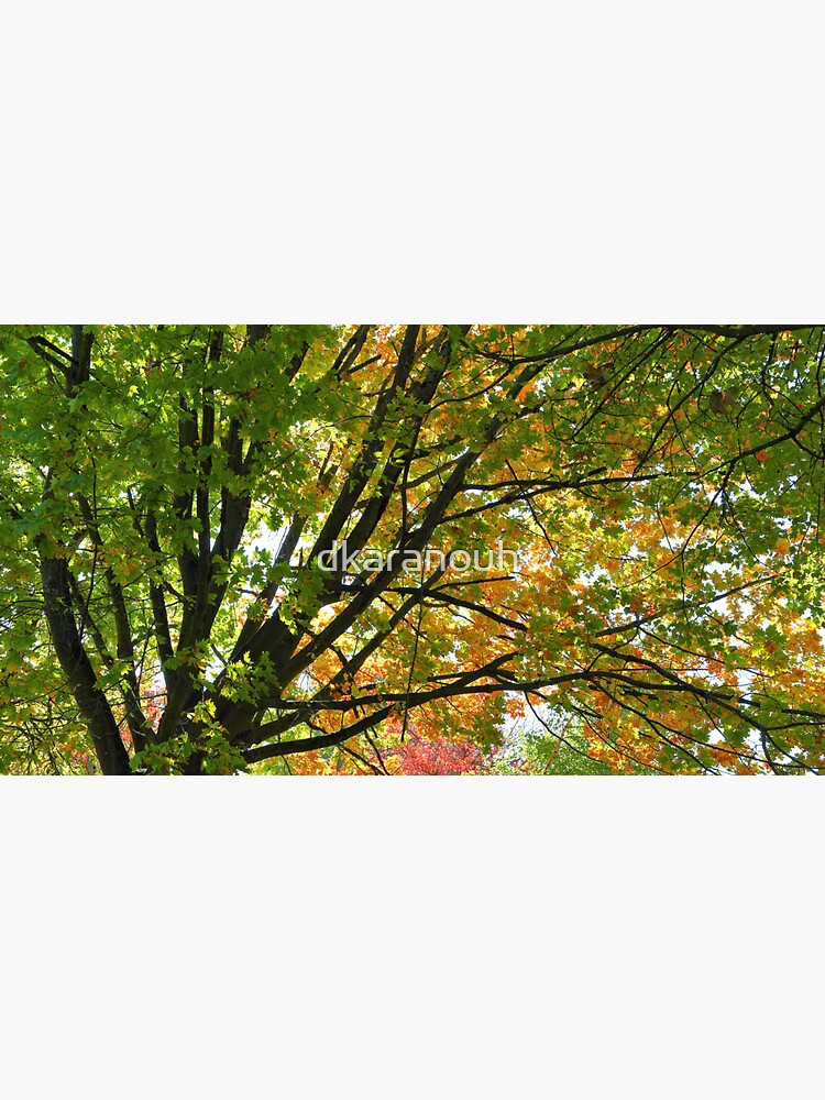 "Fall Foliage" Sticker by dkaranouh | Redbubble