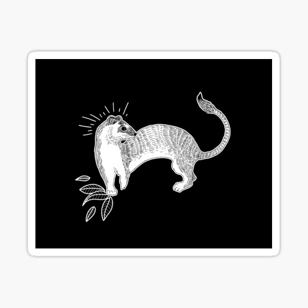 "Long-Tailed Weasel" Sticker by trashraven | Redbubble
