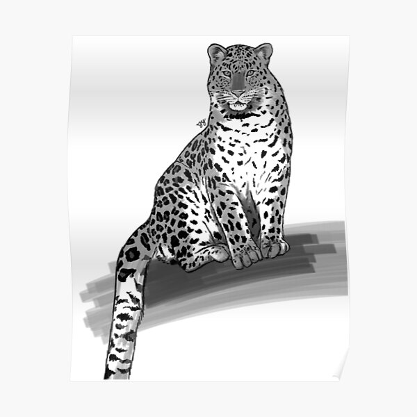 "Amur Leopard " Poster by -Jewel-Art- | Redbubble