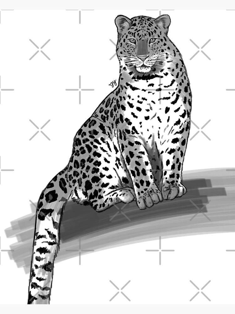 "Amur Leopard " Sticker by -Jewel-Art- | Redbubble